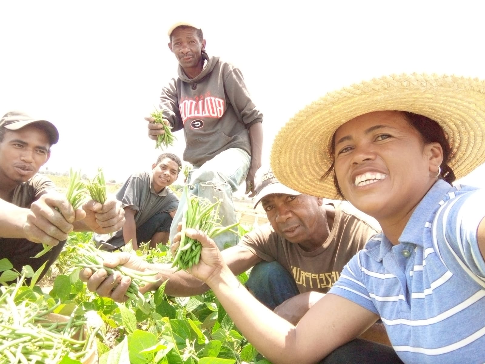 Premières récoltes de légumes à Madagascar selon la méthode Pfumvudza ...
